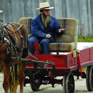 Autumn Amish Adventures | Adeline's Retreat